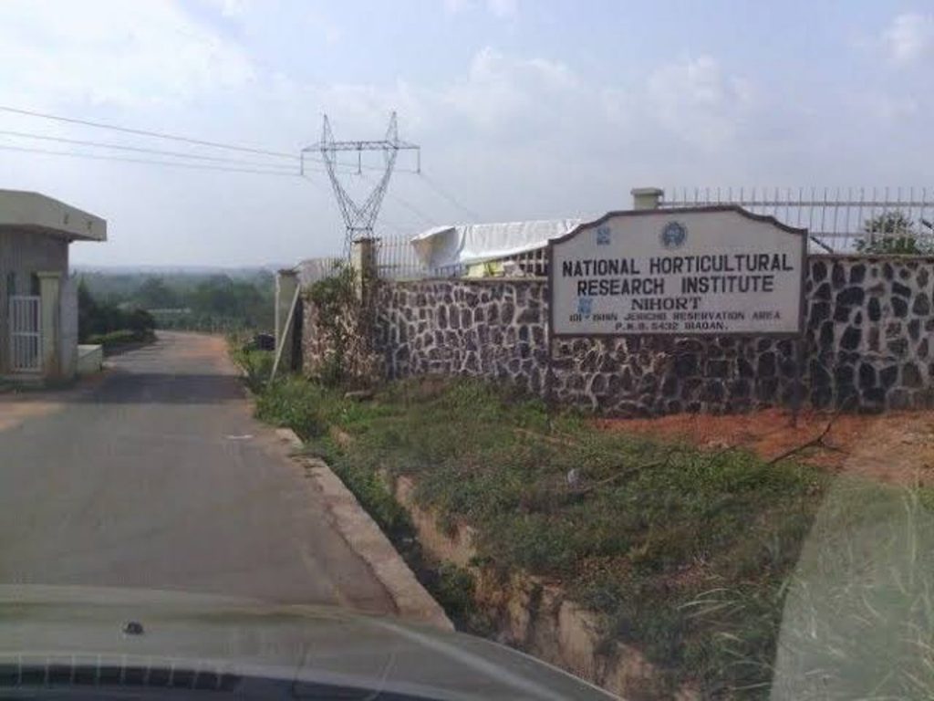 NIHORT Encourages Youths on Plantain and Mushroom Farming - farmersmanual